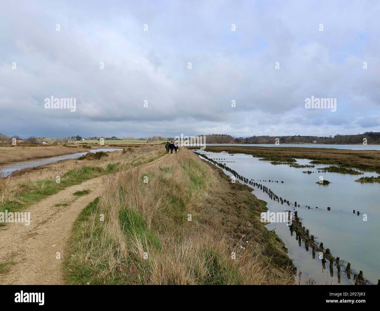 Waldringfield, Suffolk, UK - 4 March 2023 : Chilly walk beside the ...