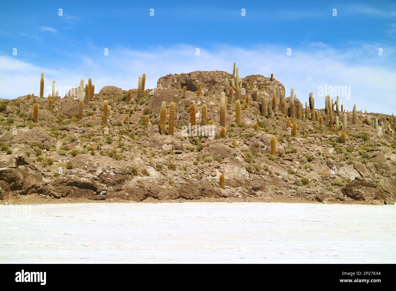 Amazing Rocky Outcrop on Uyuni Salt Flats Known as Isla del Pescado or ...