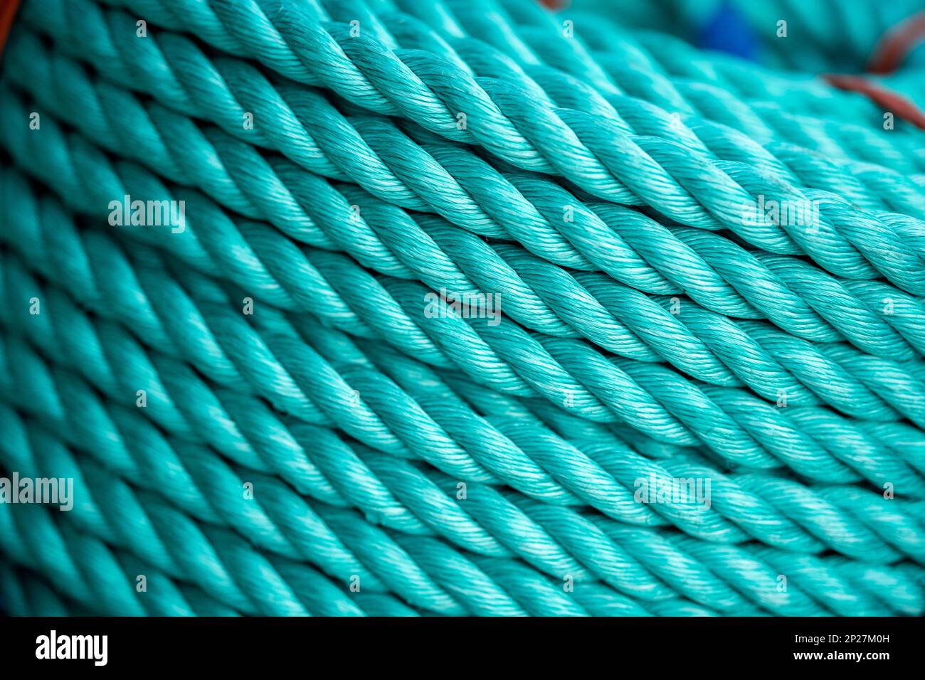 Intertwined ropes hi-res stock photography and images - Alamy