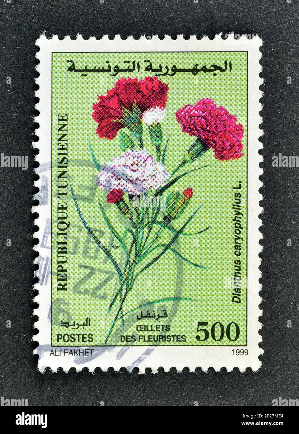 Cancelled postage stamp printed by Tunisia, that shows Carnation flower ...