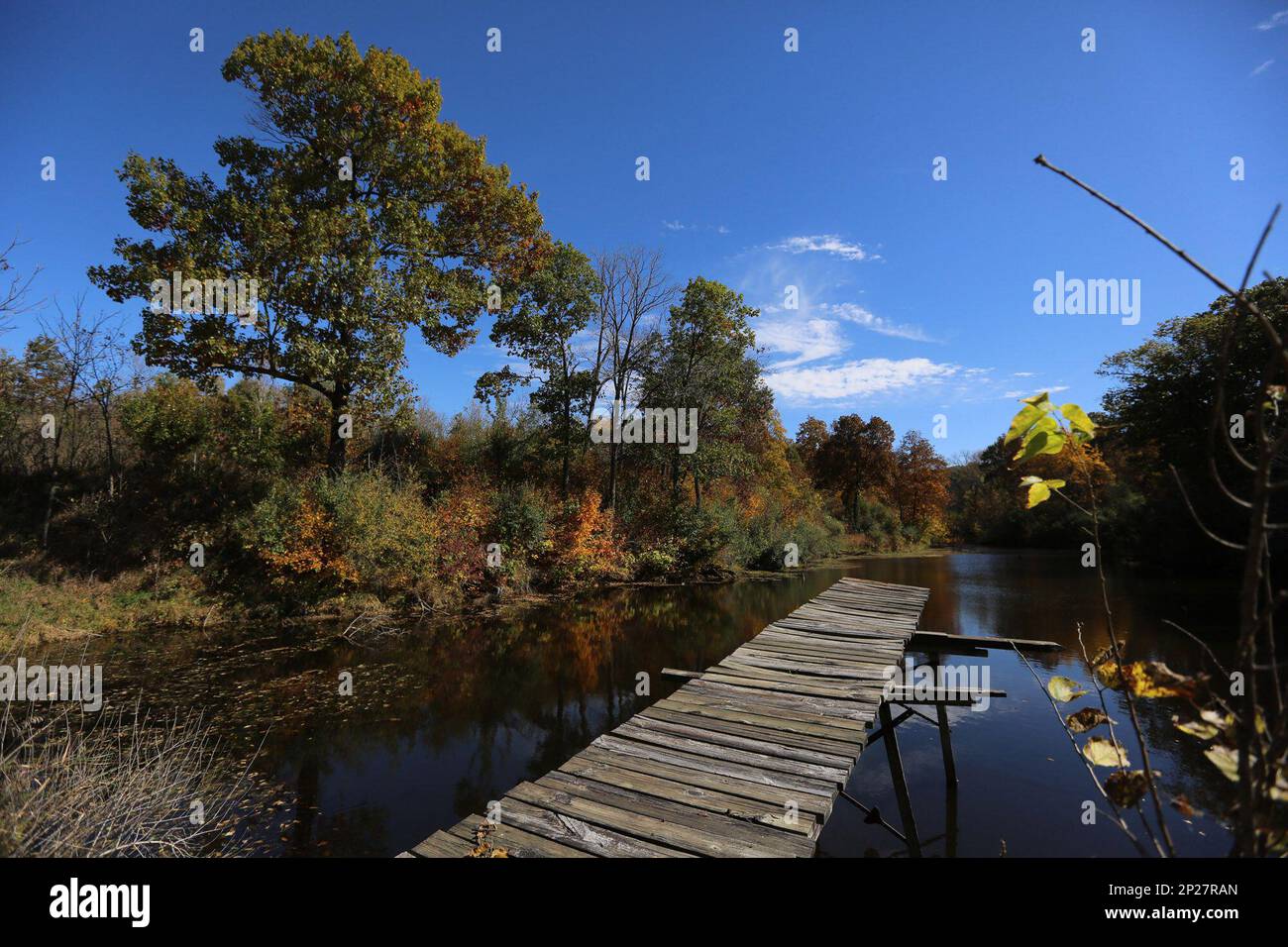 This Oct. 13, 2015 photo shows one of the ponds on Richard Stoneking's ...