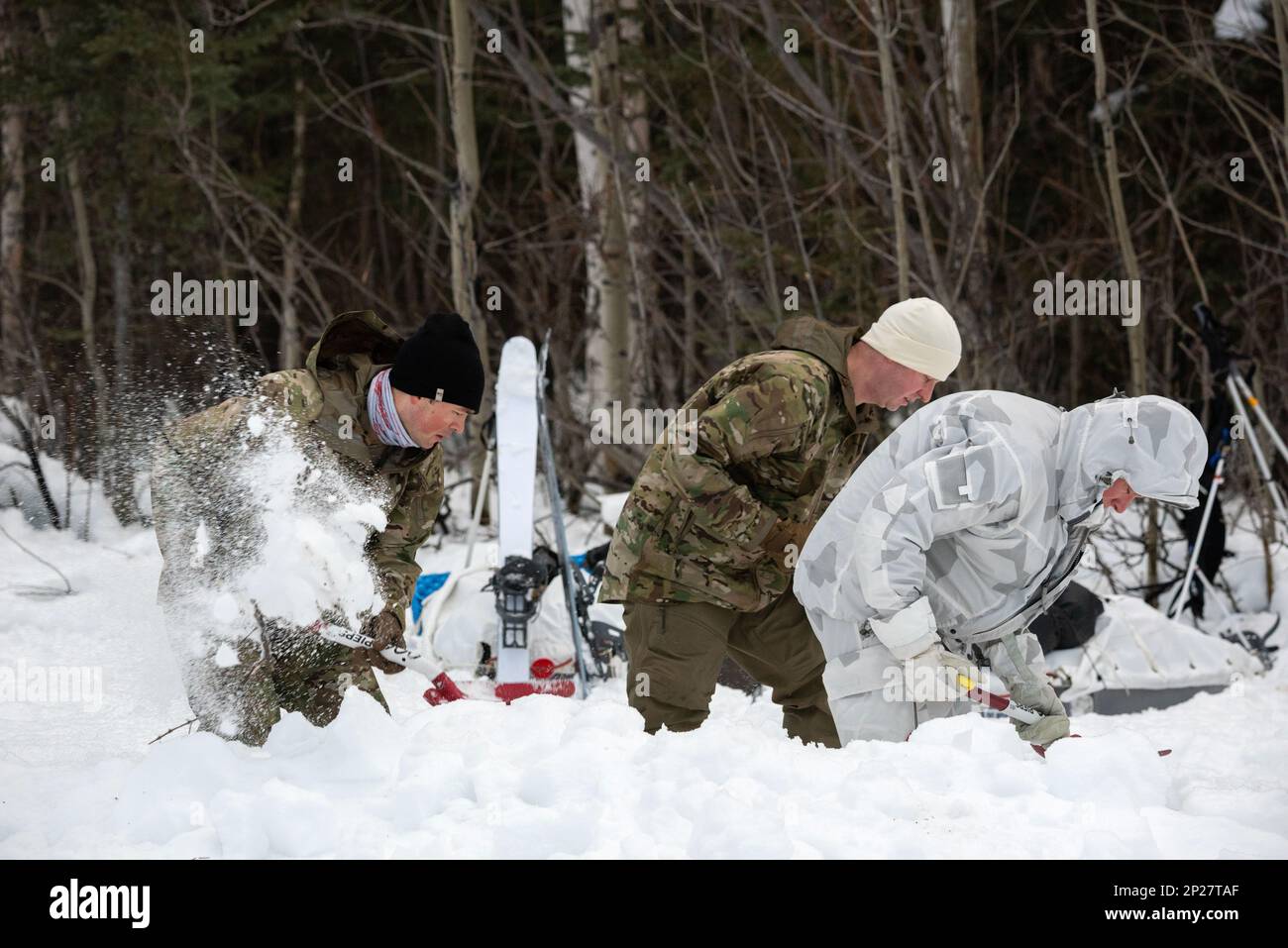 U.S. Air Force tactical air control party specialists assigned to ...