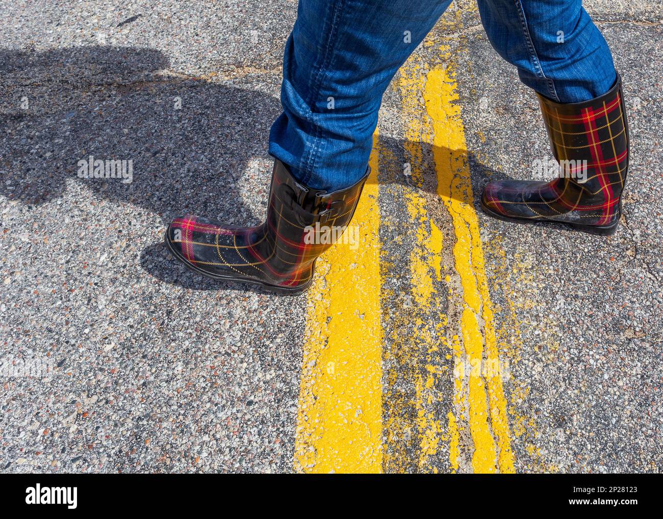 A close of fashionable checkered rubber boots stepping over the yellow ...