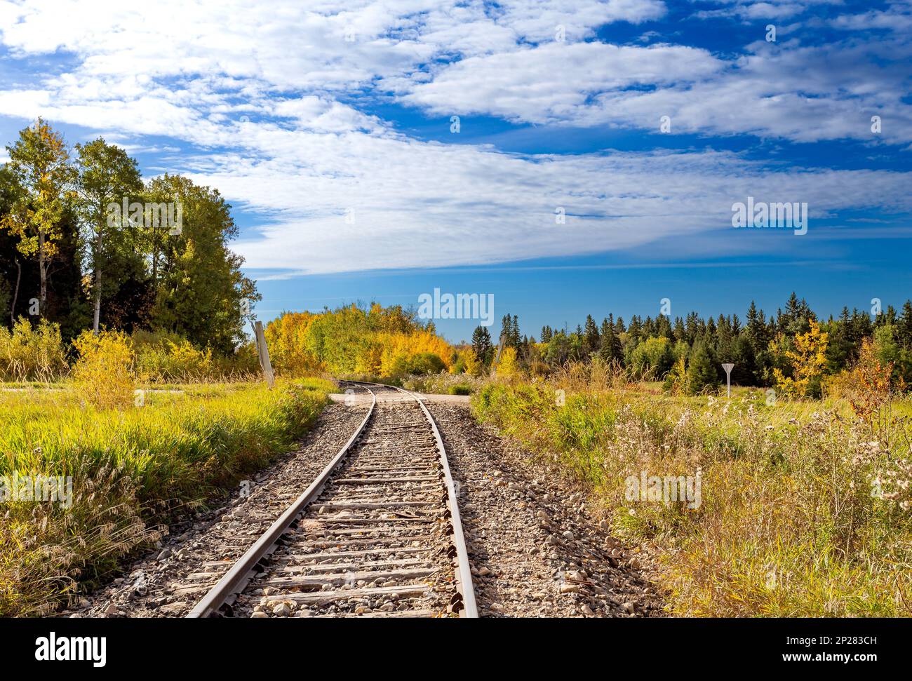 A curving train track disappearing between colorful autmn foliage under ...