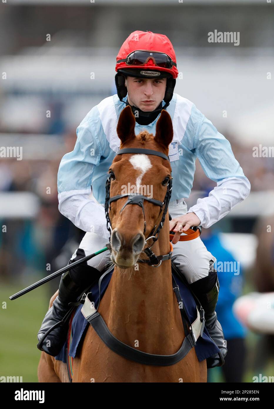 Whizz kid racecourse hi-res stock photography and images - Alamy