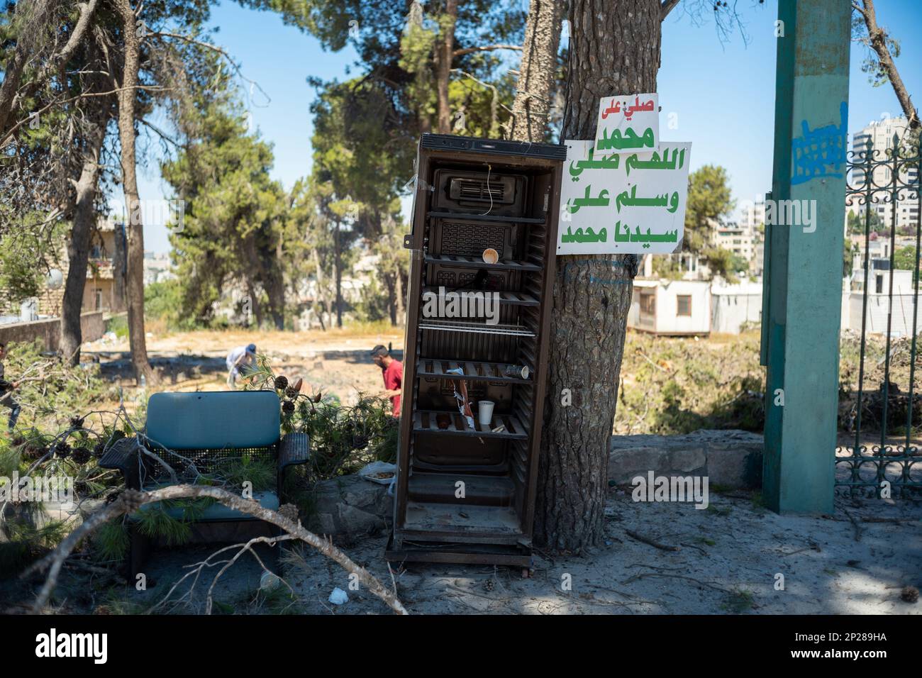 Sign on a Tree that Reads "Pray for Muhammad, and May Allah Bring Peace ...