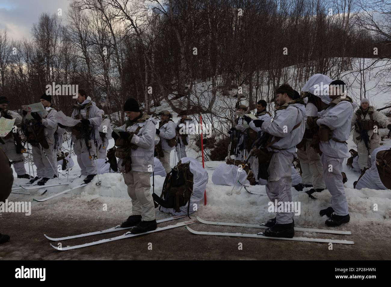 U.S. Marines with 2d Reconnaissance Battalion, 2d Marine Division, look ...