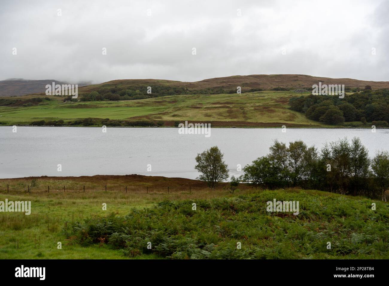 Wild and nature landscape in the Scottish highlands Stock Photo - Alamy