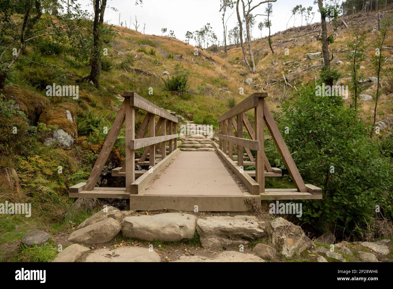 Wooden bridge in the Scottish highlands Stock Photo - Alamy