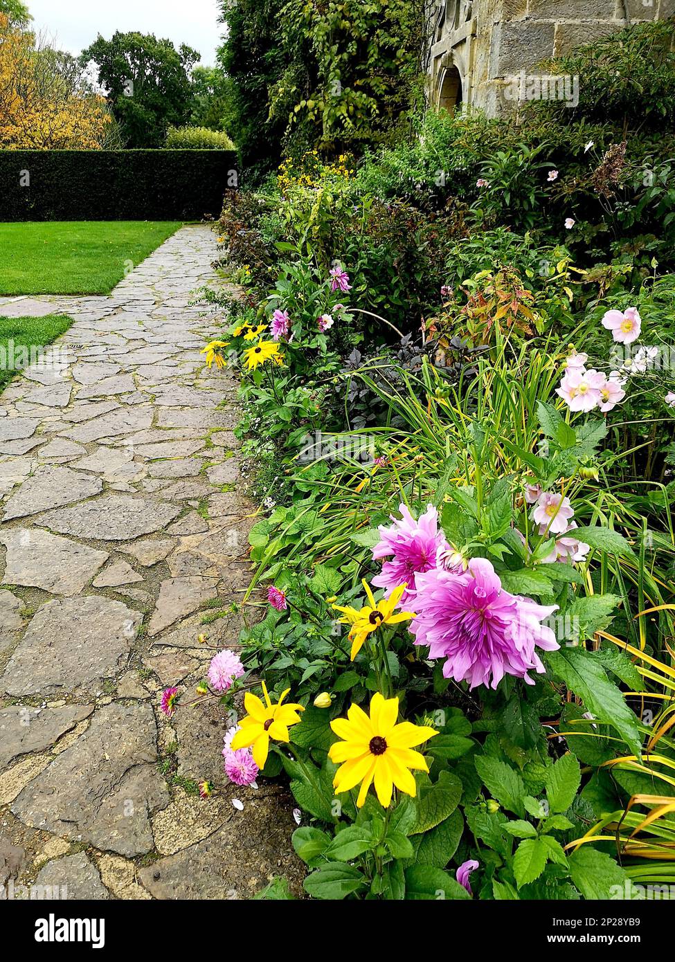 View of a stone garden path with a perennial border Stock Photo - Alamy