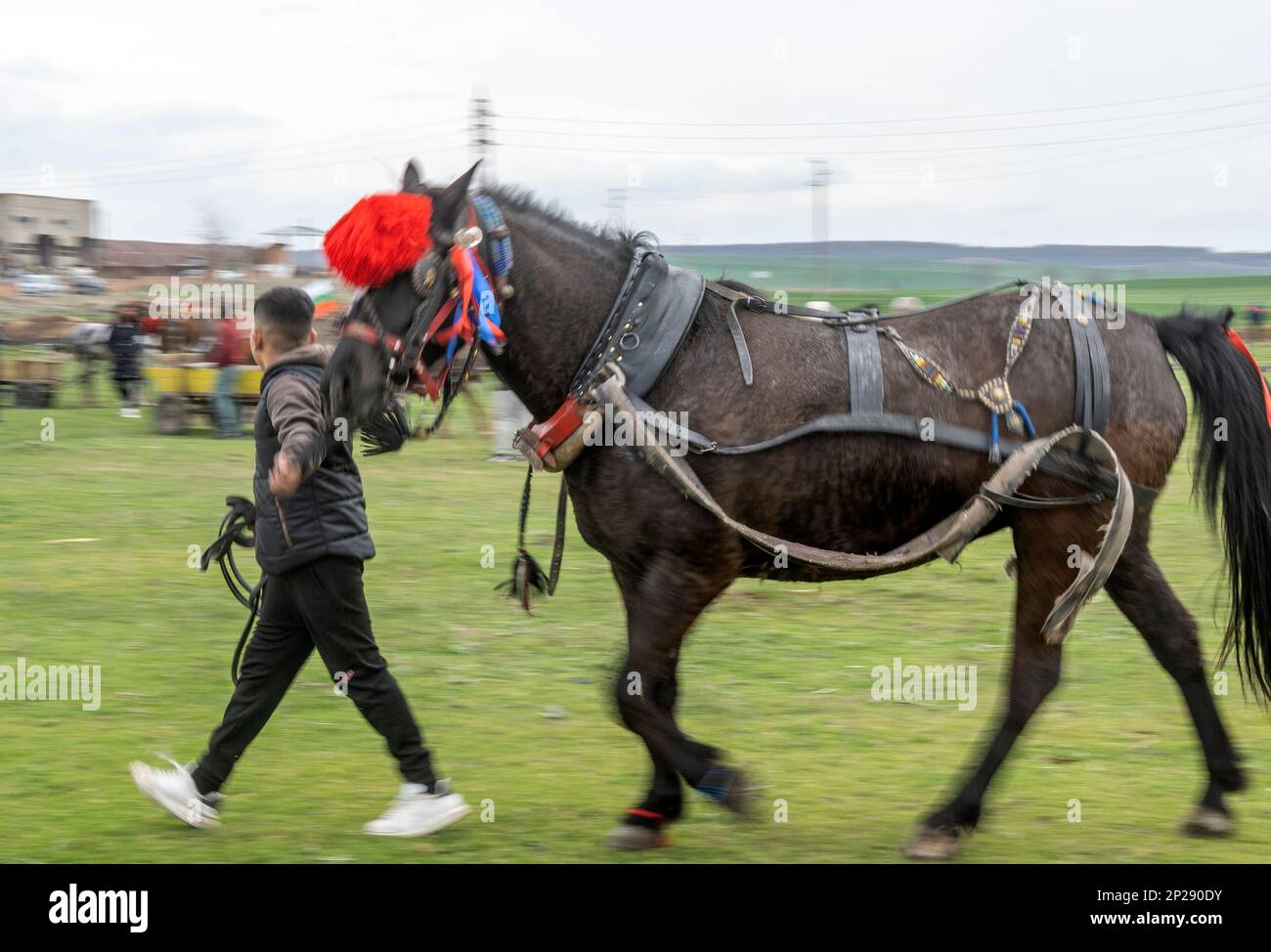 Bulgaria 3rd March 2023: One of the first spring holidays popular ...