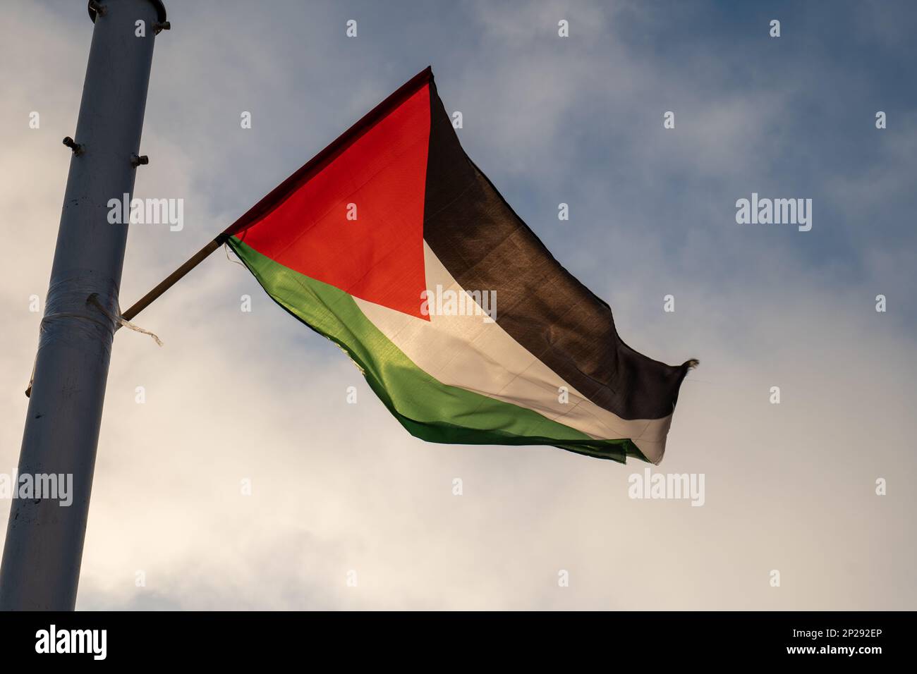 Palestine Flag Flying on a Pole Isolated at Dawn Stock Photo - Alamy