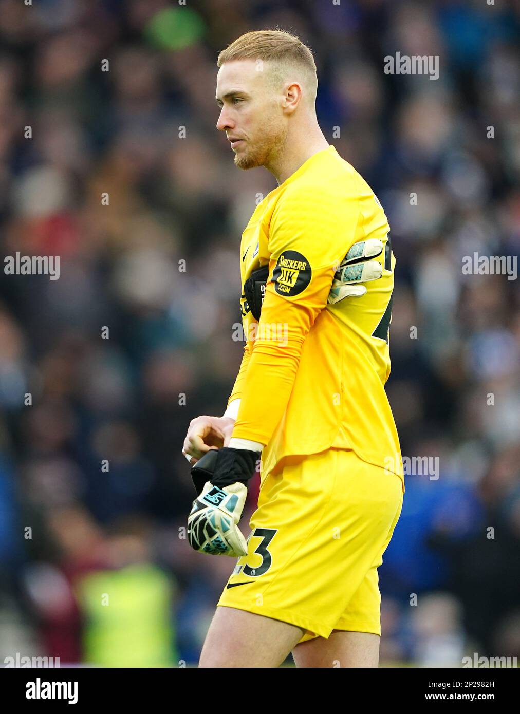 Brighton and Hove Albion goalkeeper Jason Steele before the Premier ...