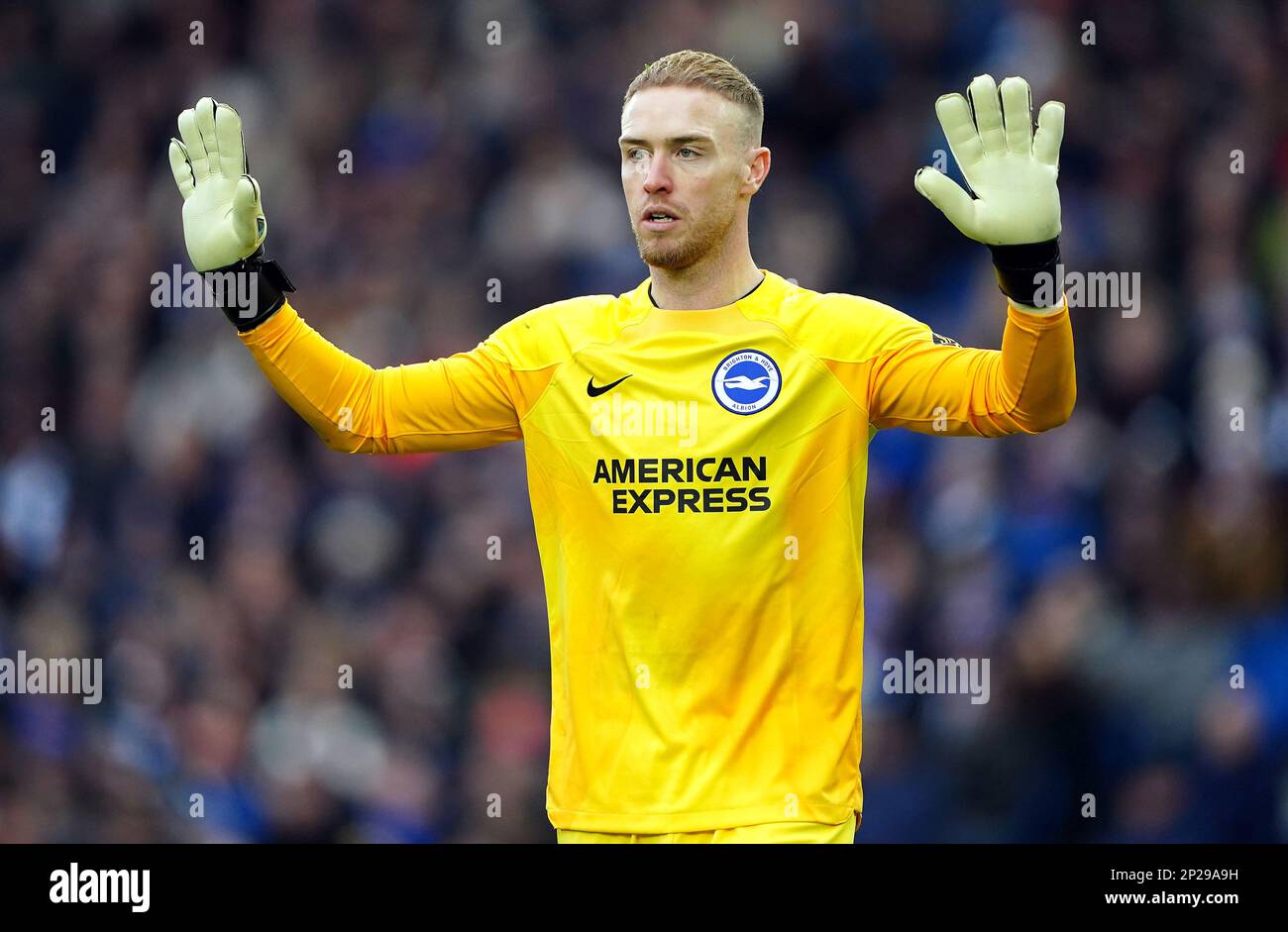 Brighton and Hove Albion goalkeeper Jason Steele in action during the ...