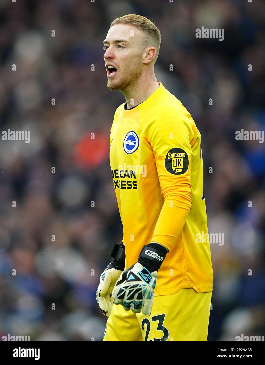 Brighton and Hove Albion goalkeeper Jason Steele in action during the ...
