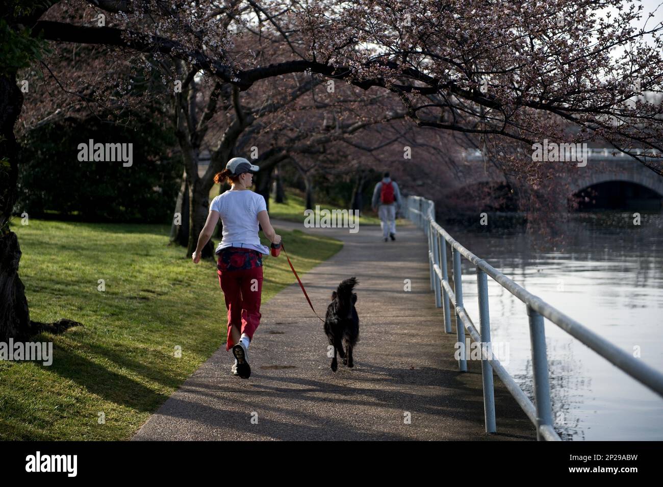 The Thomas Jefferson Memorial, modeled after the Pantheon of Rome, is ...