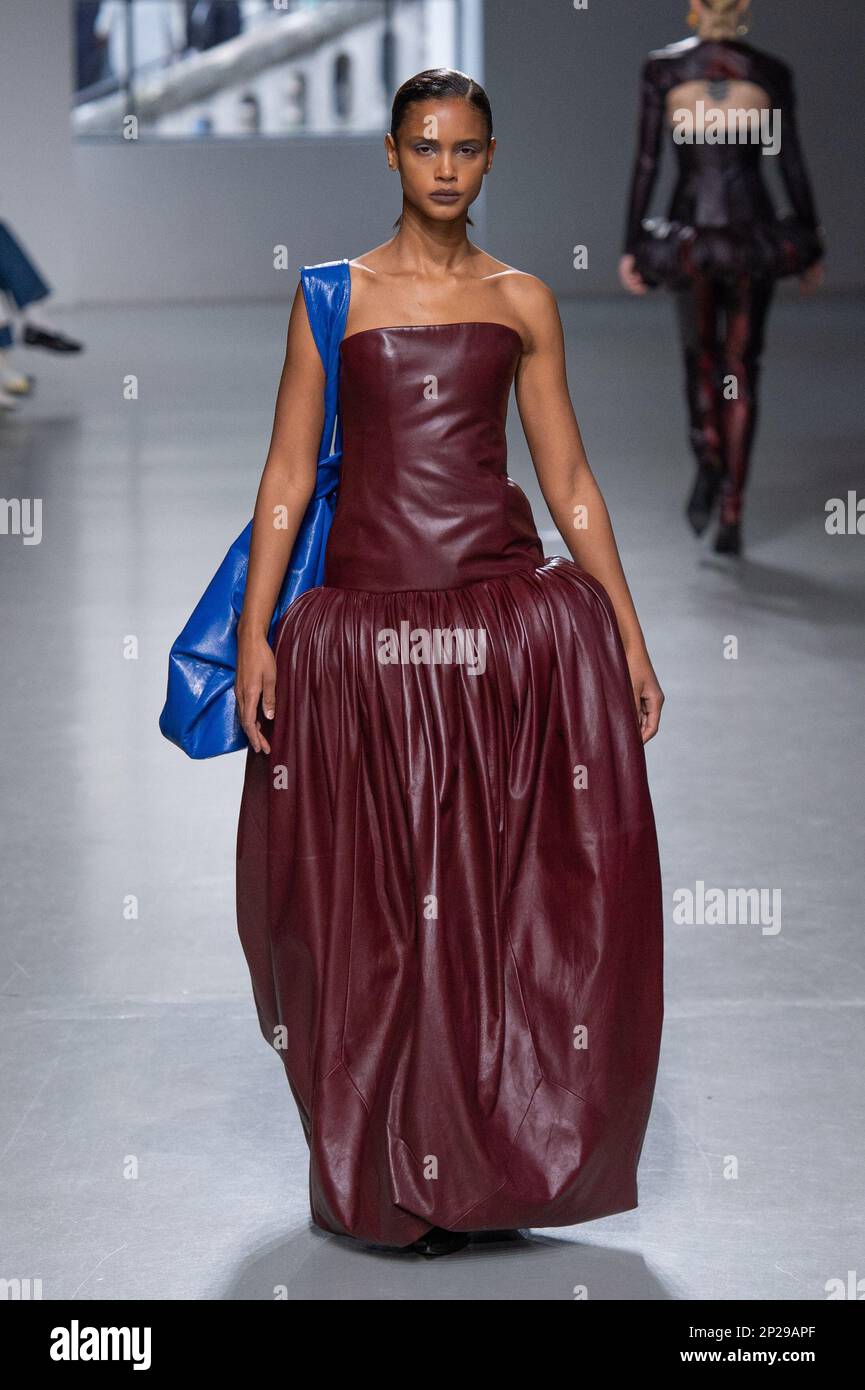 Paris, France. 04th Mar, 2023. A model walks the runway during the ...