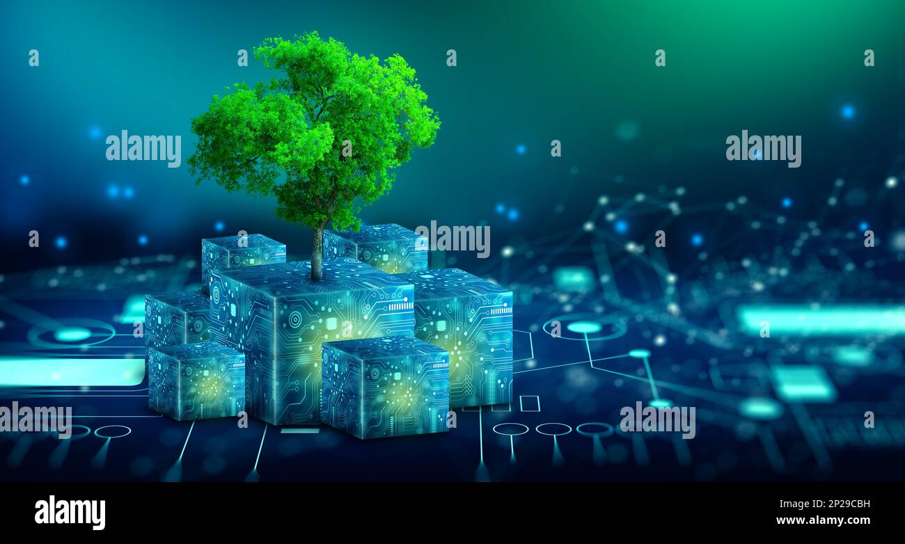 Tree growing on Circuit Digital Cube. Digital and Technology ...