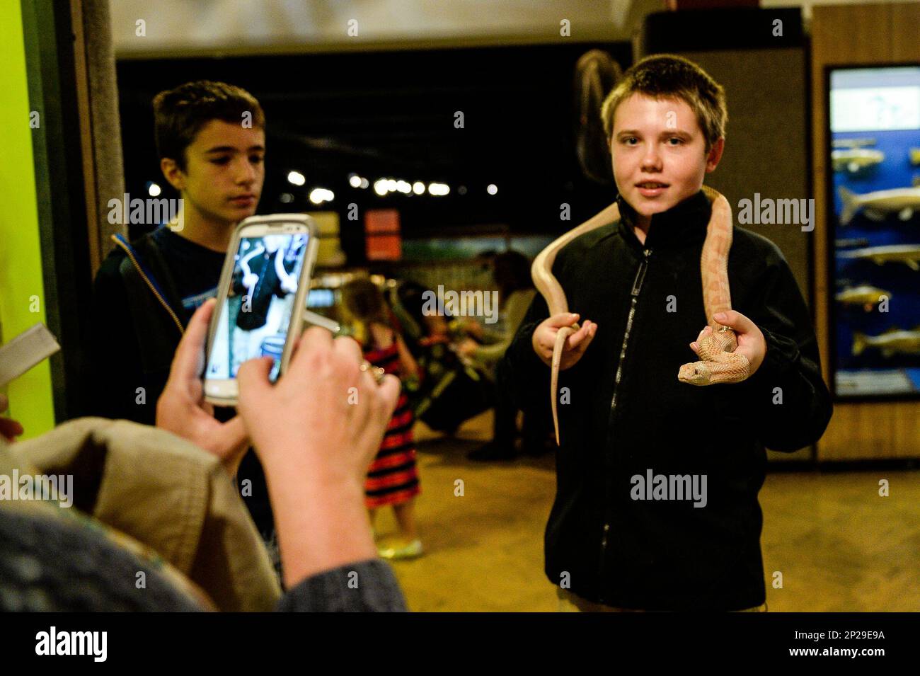 Ian Robins, 13, poses for a photo with an albino rattlesnake for his ...