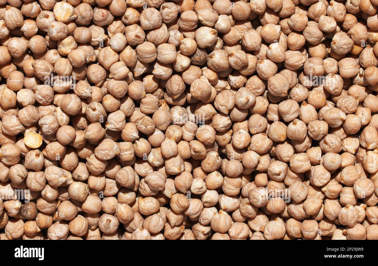 Raw chickpea beans. Top view on chickpea seeds. Food background from a ...