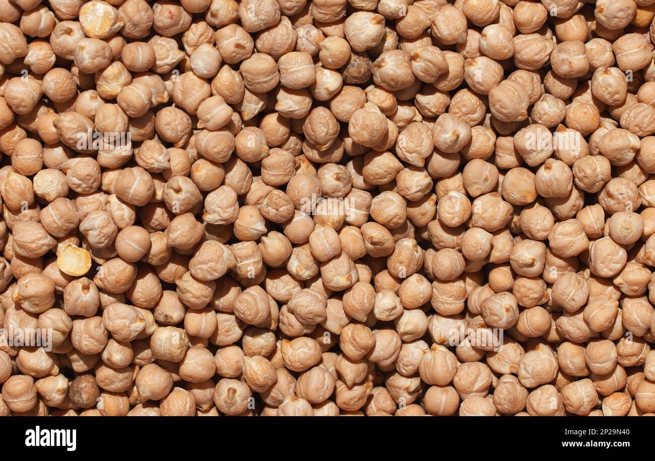Raw chickpea beans. Top view on chickpea seeds. Food background from a ...