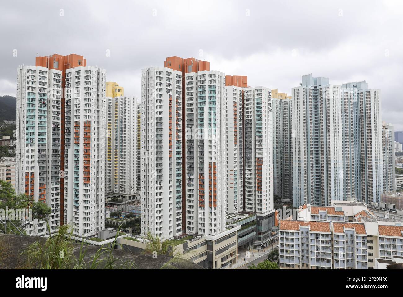 Buildings of the reconstructed Pak Tin Estate, a high density public ...