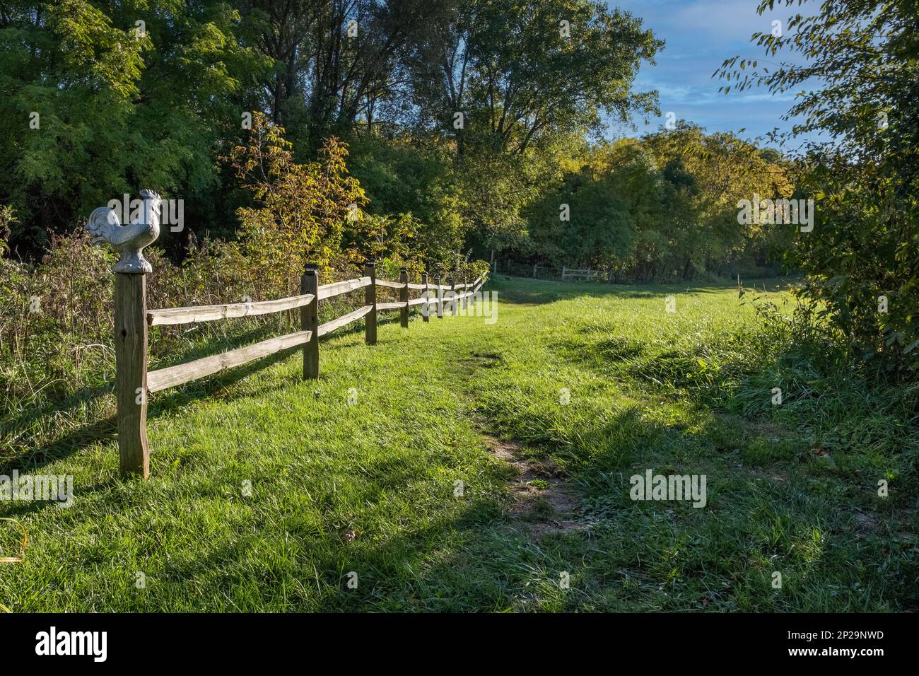 In a lovely field, a wooden fence topped by an inanimate figurine ...