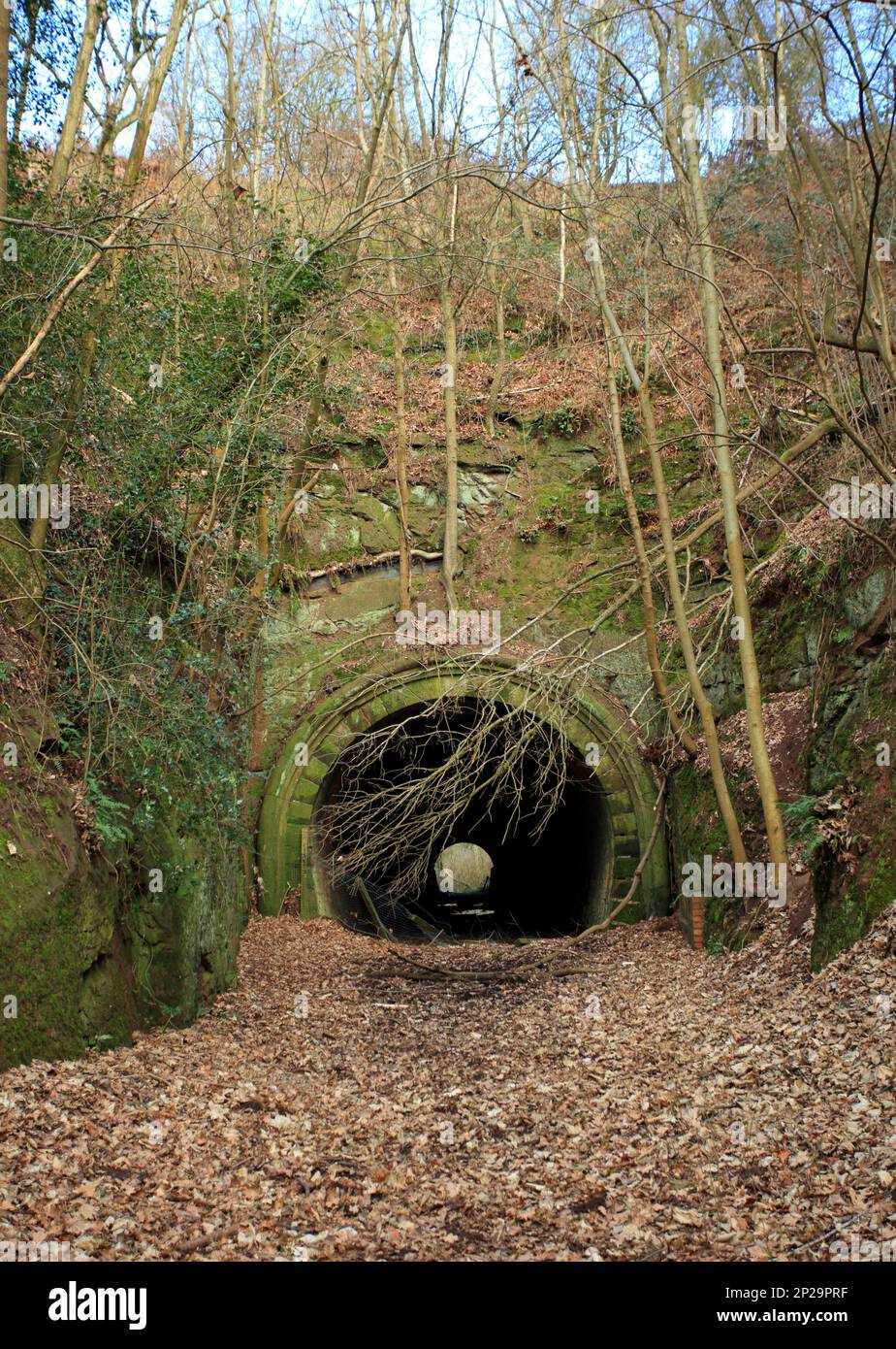 Entrance to the disused Mount pleasant railway tunnel near Bewdley ...