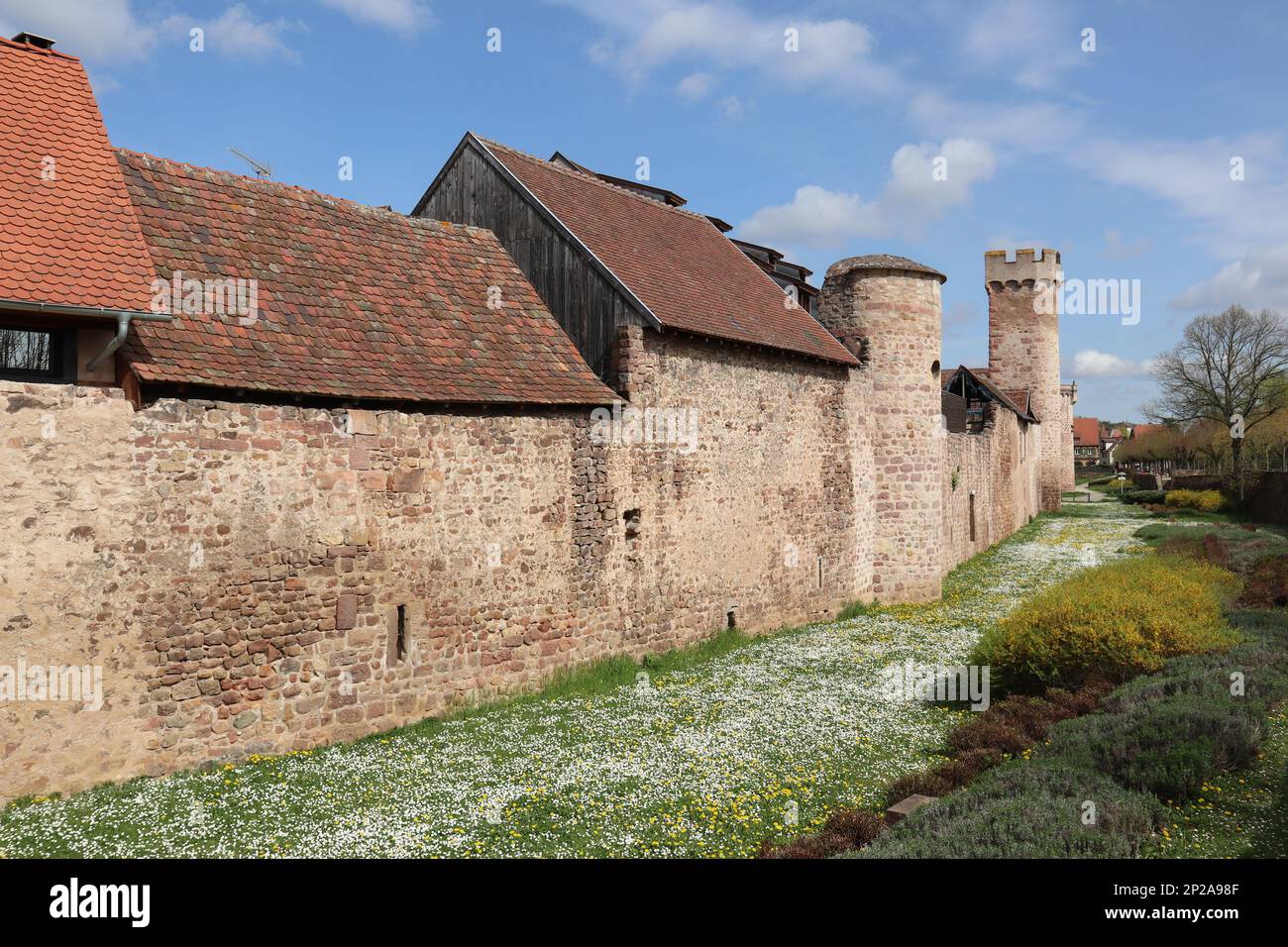 Town wall of Obernai in France Stock Photo - Alamy