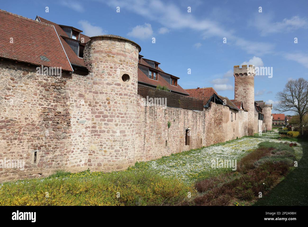 Town wall of Obernai in France Stock Photo - Alamy