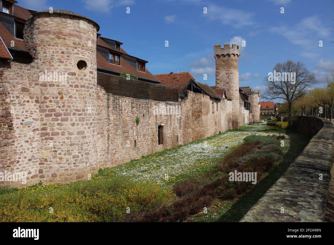 Town wall of Obernai in France Stock Photo - Alamy