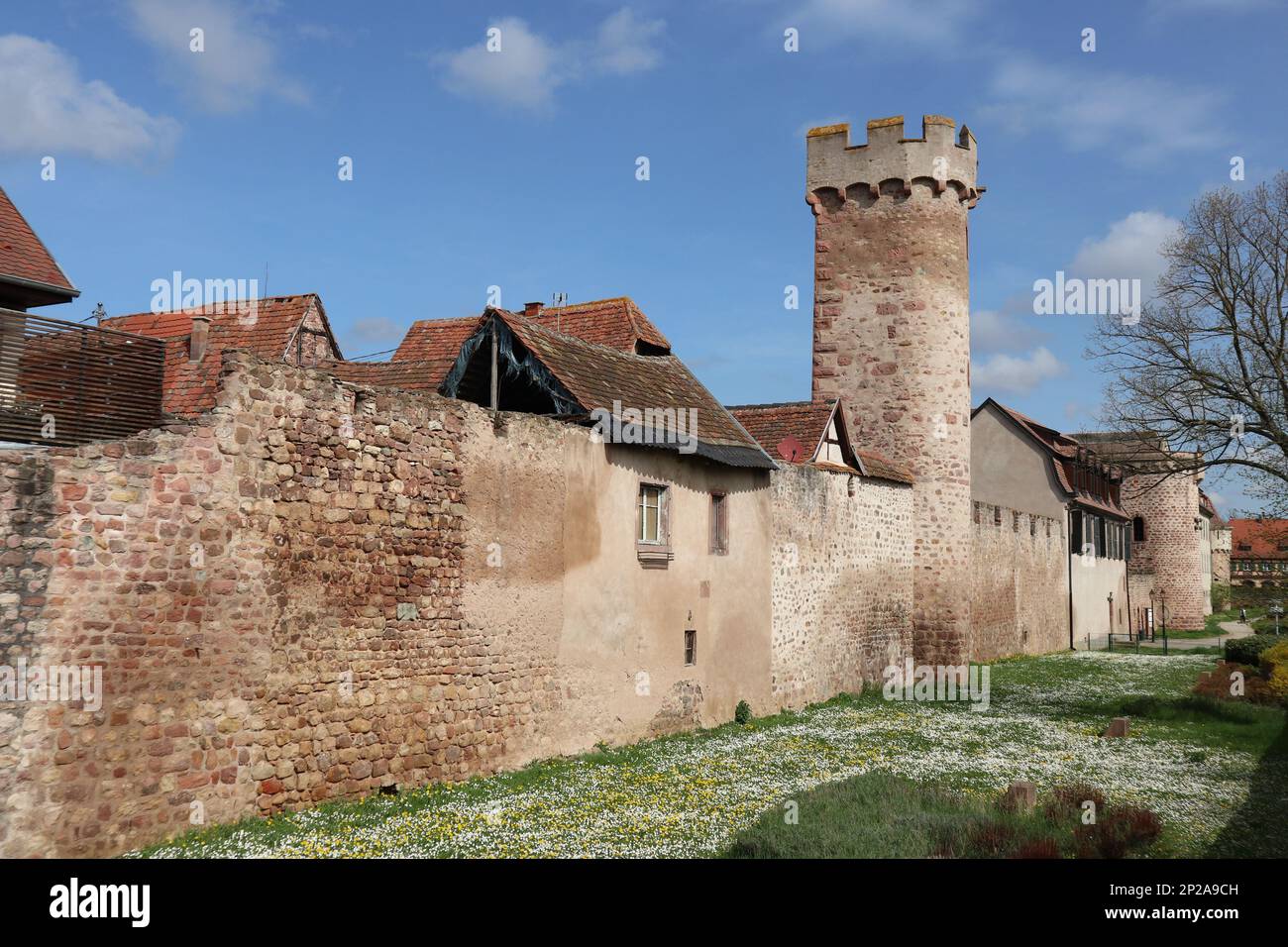 Town wall of Obernai in France Stock Photo - Alamy