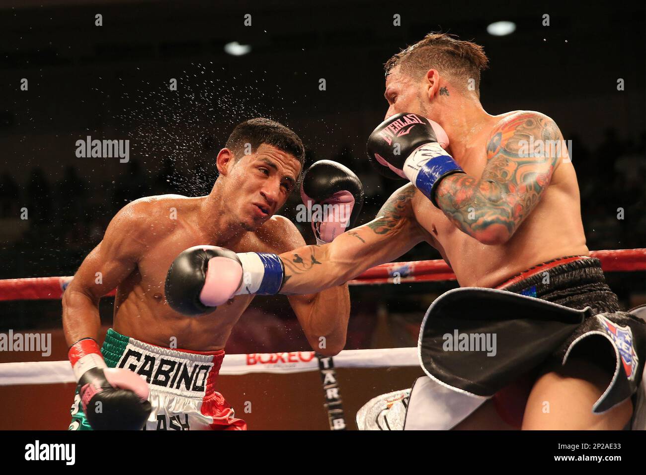 Orlando "El Fenomeno" Cruz (R) punches Gabino "Flash" Cota during their ...
