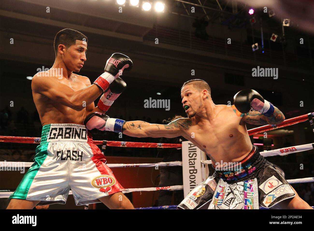 Orlando "El Fenomeno" Cruz (R) punches Gabino "Flash" Cota during their ...