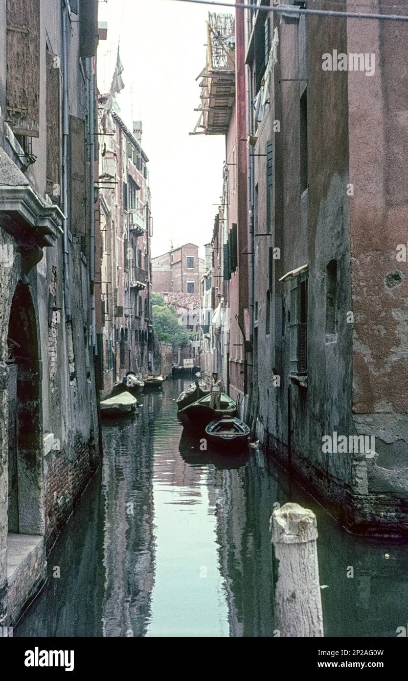 Boats are moored in a narrow canal against the house walls. Venice ...