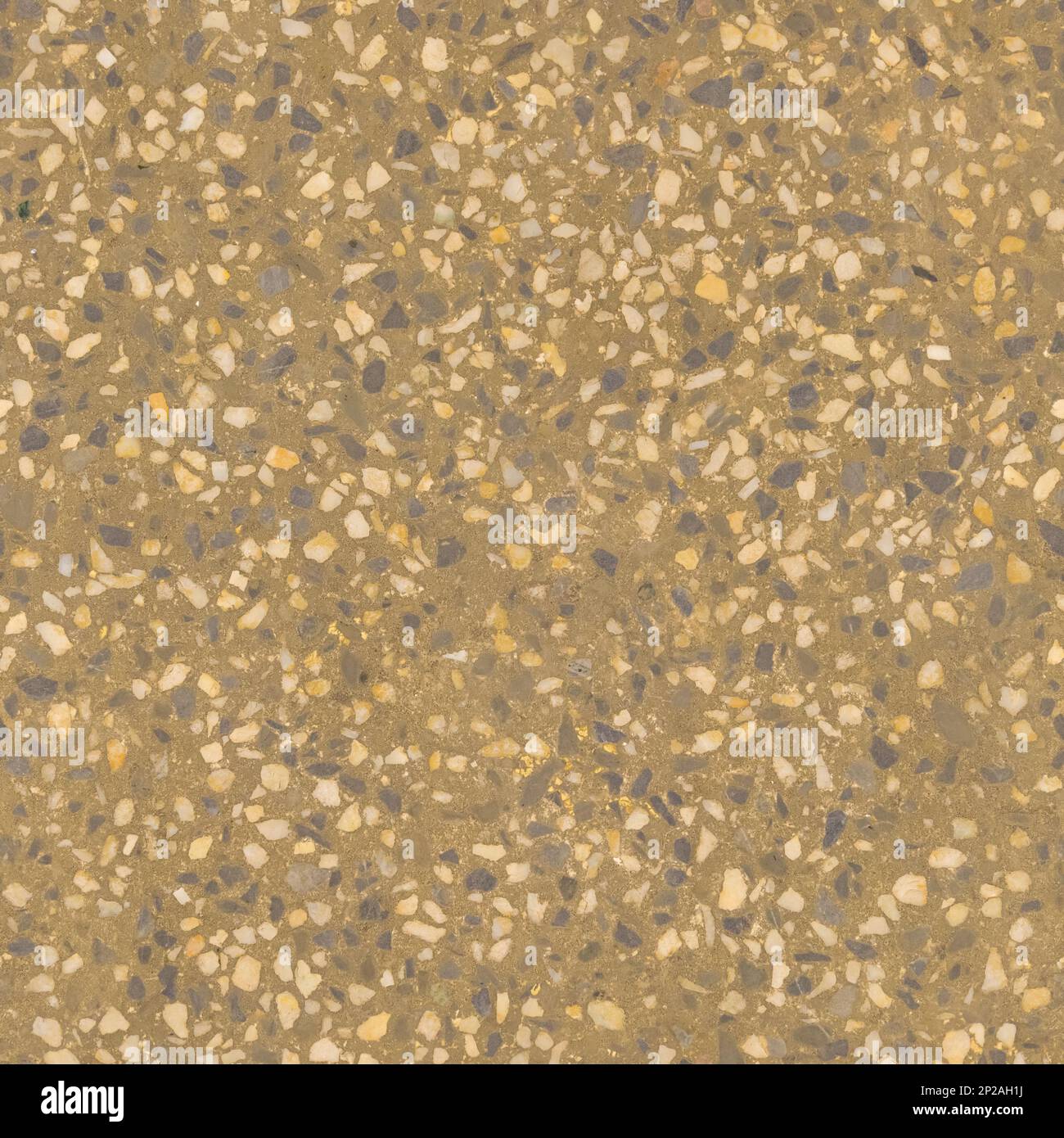 Terrazzo texture. Polished concrete floor. Color surface marble and ...