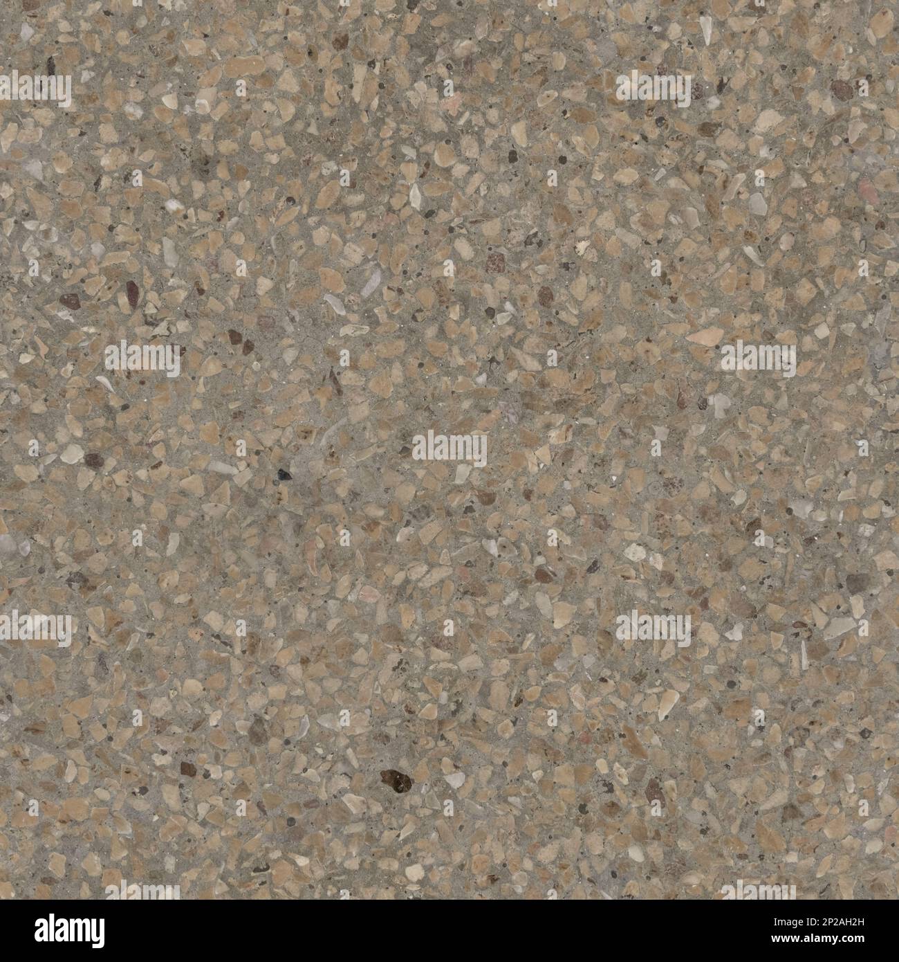 Terrazzo texture. Polished concrete floor. Color surface marble and ...