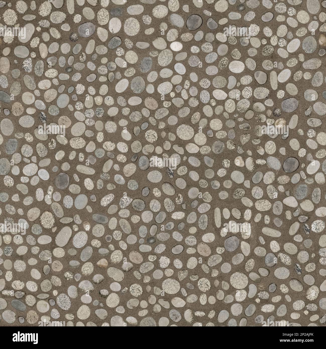 Terrazzo texture. Polished concrete floor. Color surface marble and ...