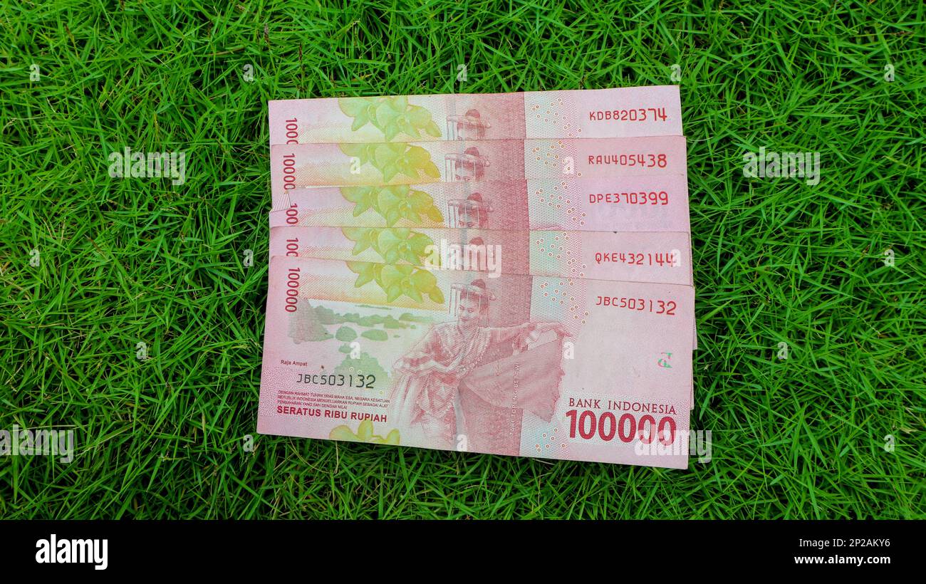 Indonesian thousand rupiah notes are isolated on a green grass ...