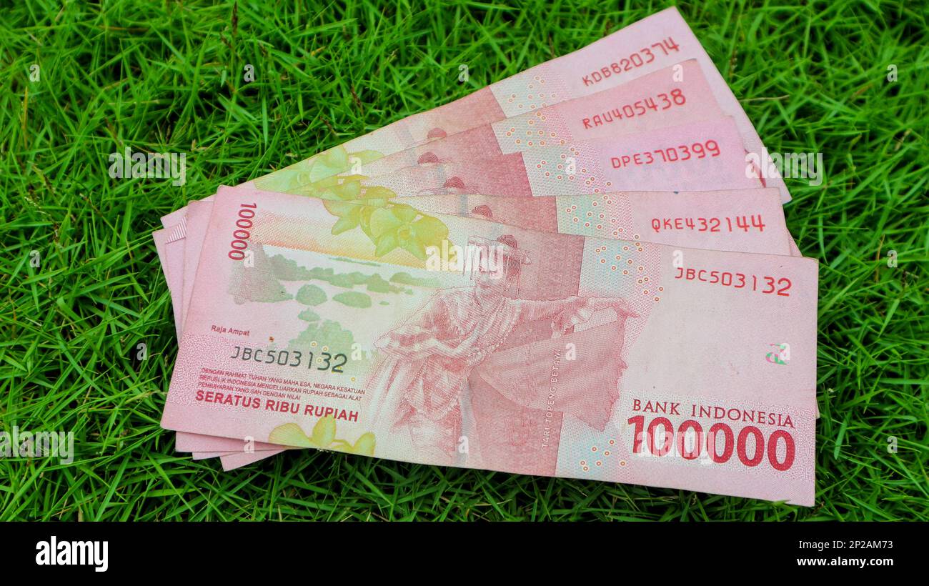 Indonesian thousand rupiah notes are isolated on a green grass ...