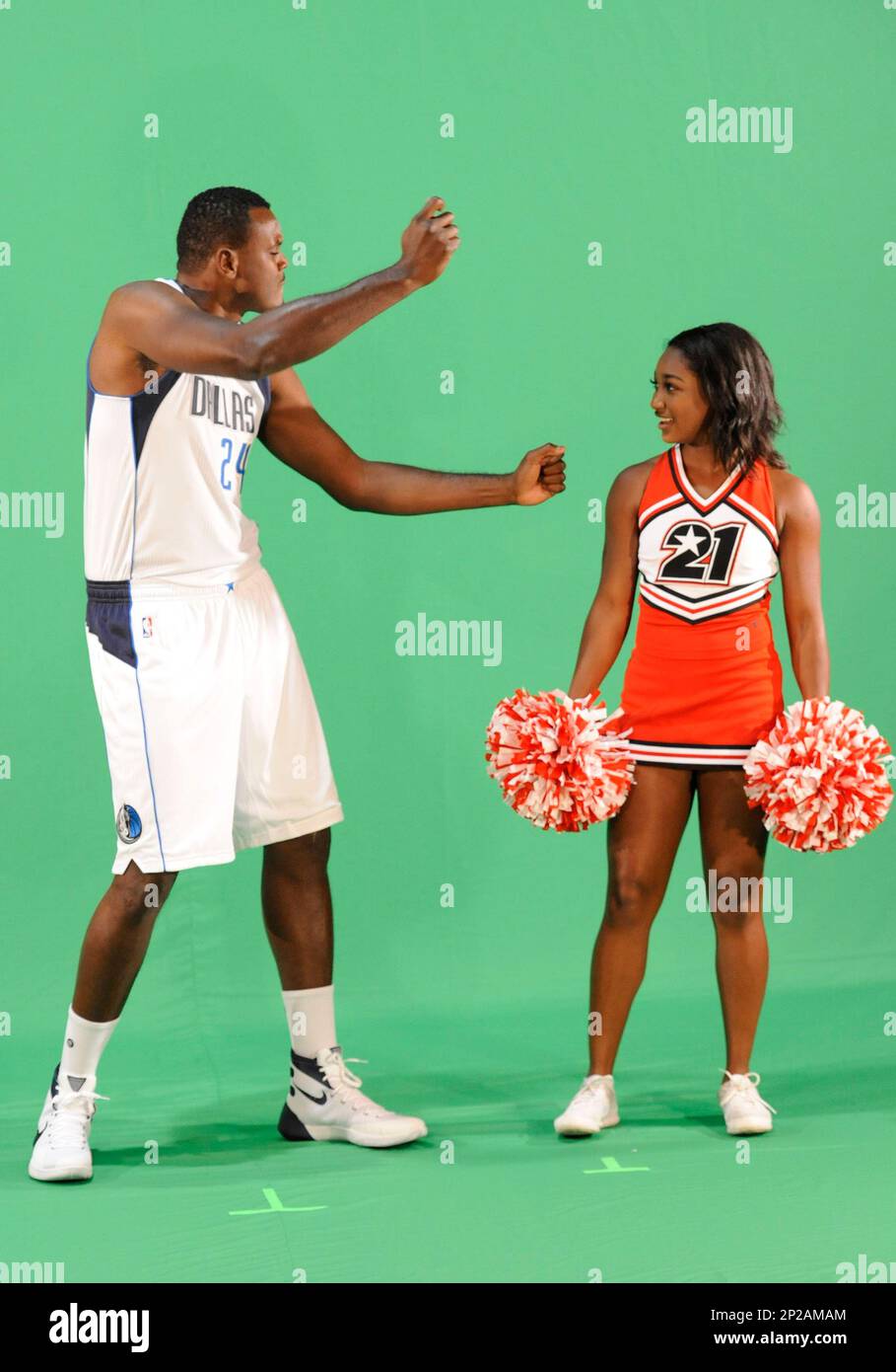 Samuel Dalembert Mavericks