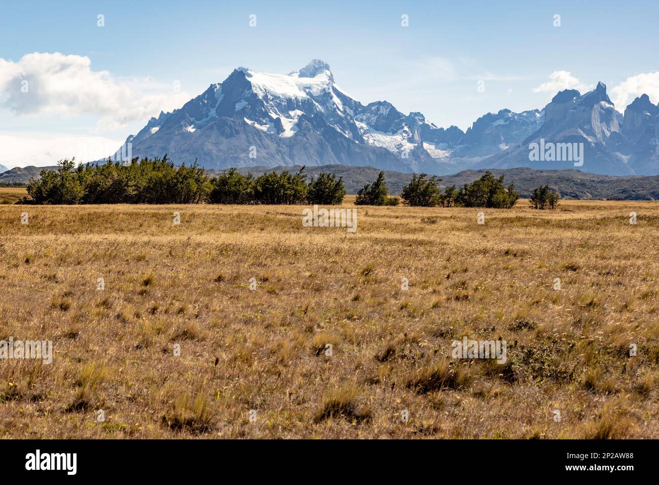 Golden Pampas and snowy mountains of Torres del Paine National Park in ...