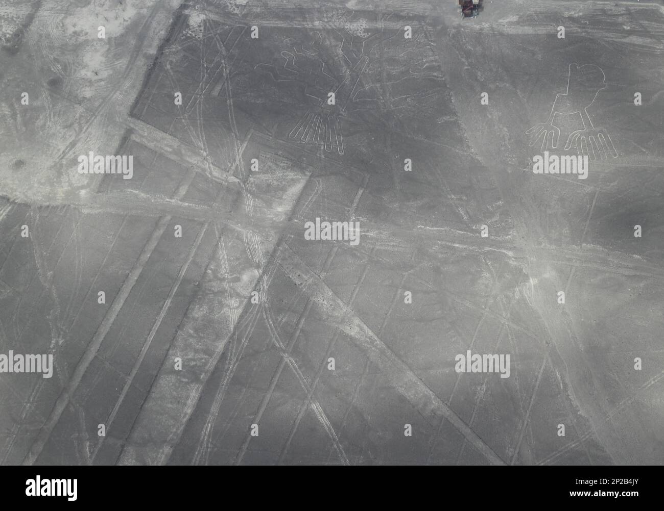 Lines and Geoglyphs of Nazca "Tree and Hands Stock Photo - Alamy
