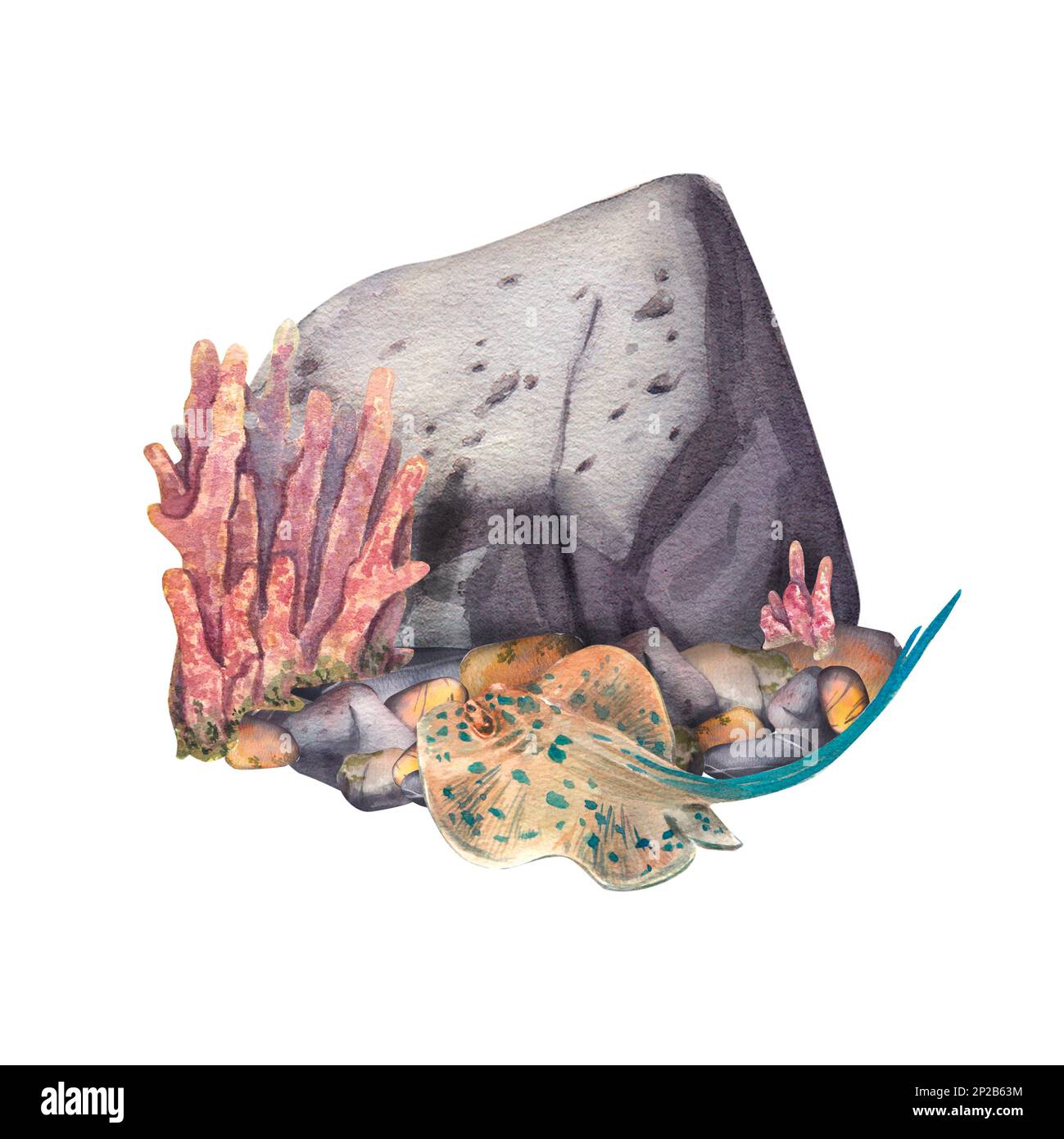 The ramp floats on the bottom next to a large stone isolated on a white ...