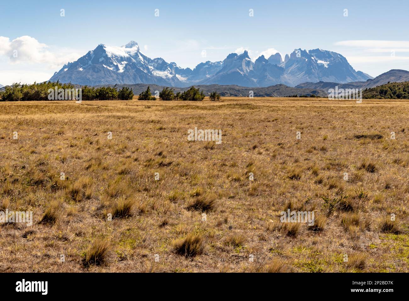 Golden Pampas and snowy mountains of Torres del Paine National Park in Chile, Patagonia, South ...