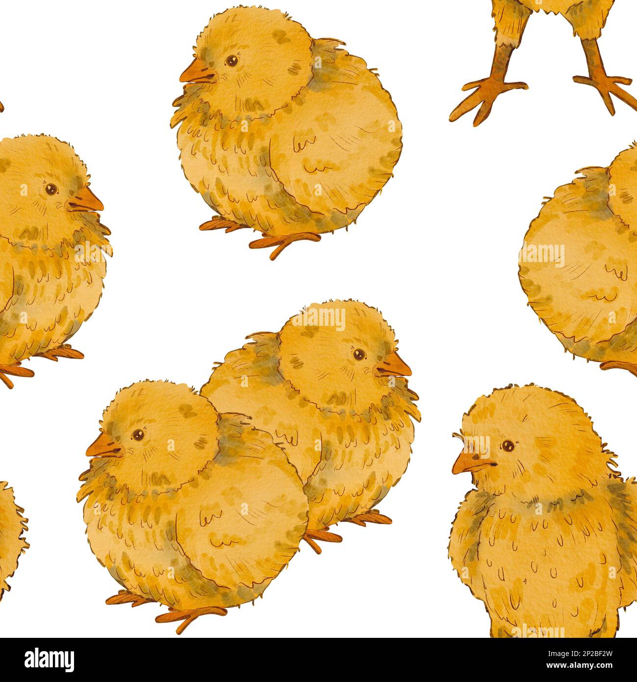 Pattern with cute chickens on a white background.Watercolor ...