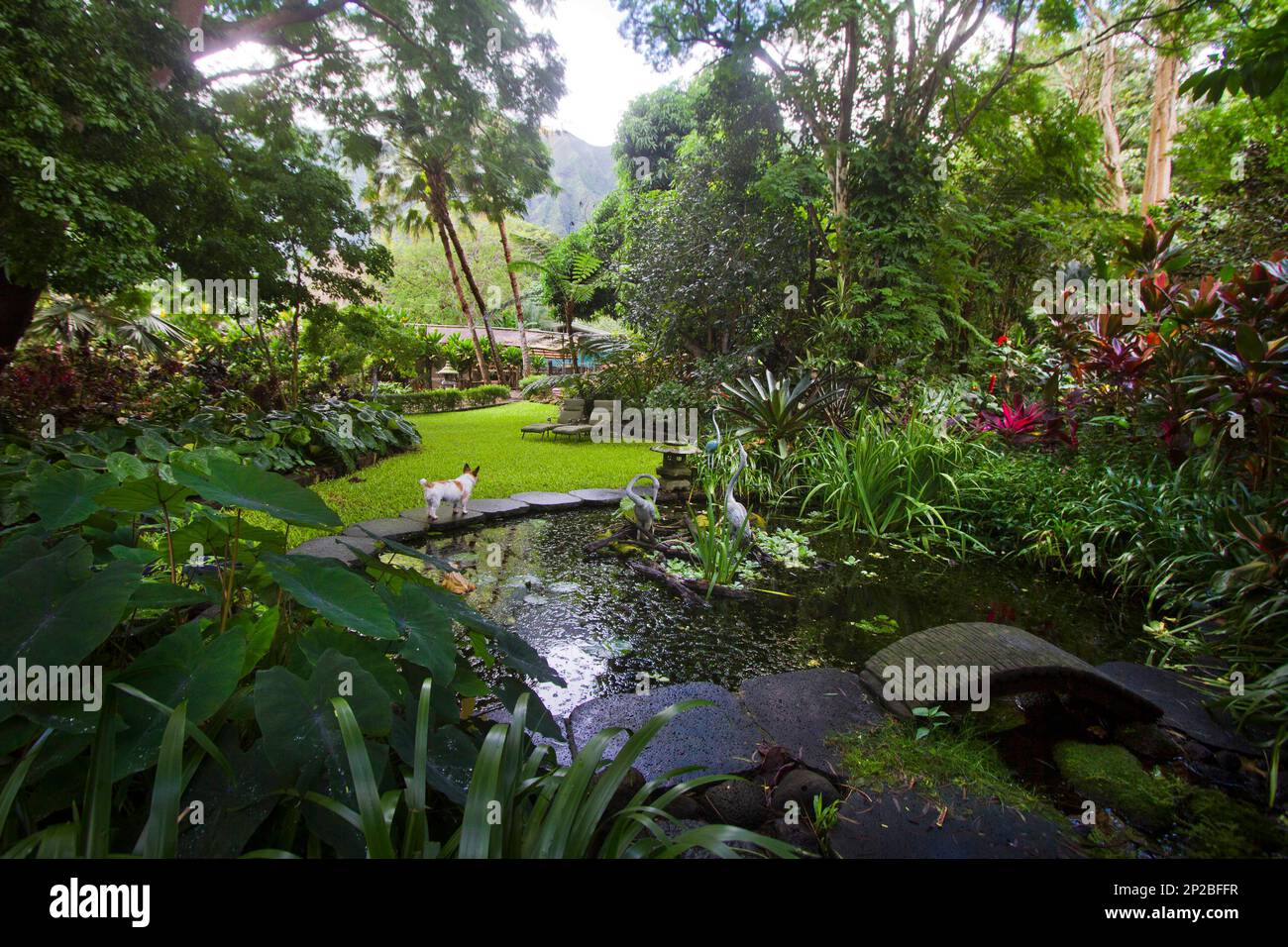 ADVANCE FOR WEEKEND - David Yearian's extensive garden is seen in ...