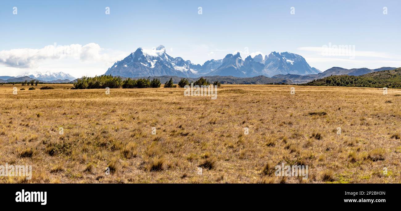 Golden Pampas and snowy mountains of Torres del Paine National Park in ...