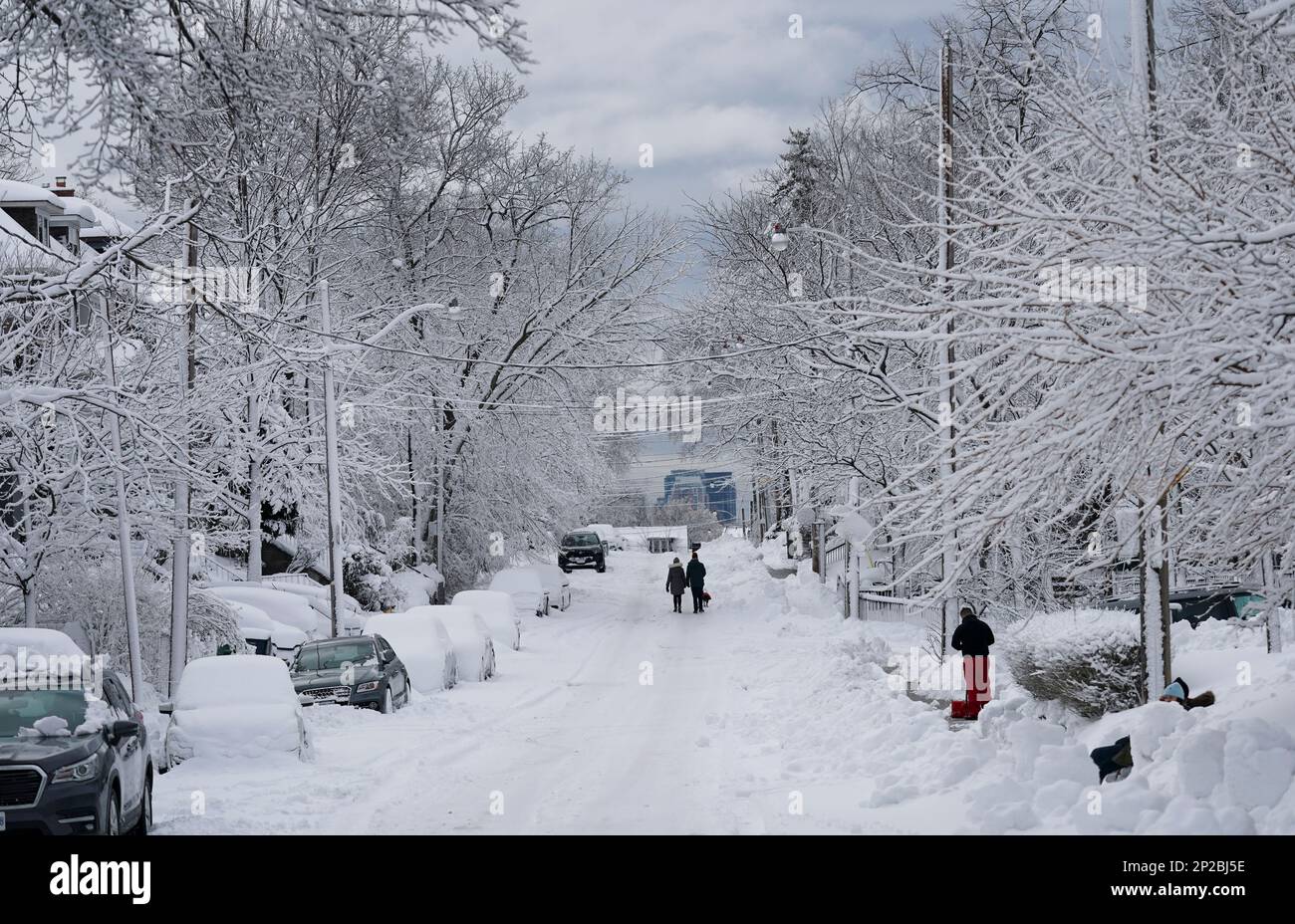 A snow covered street is seen following a snow storm in Toronto ...