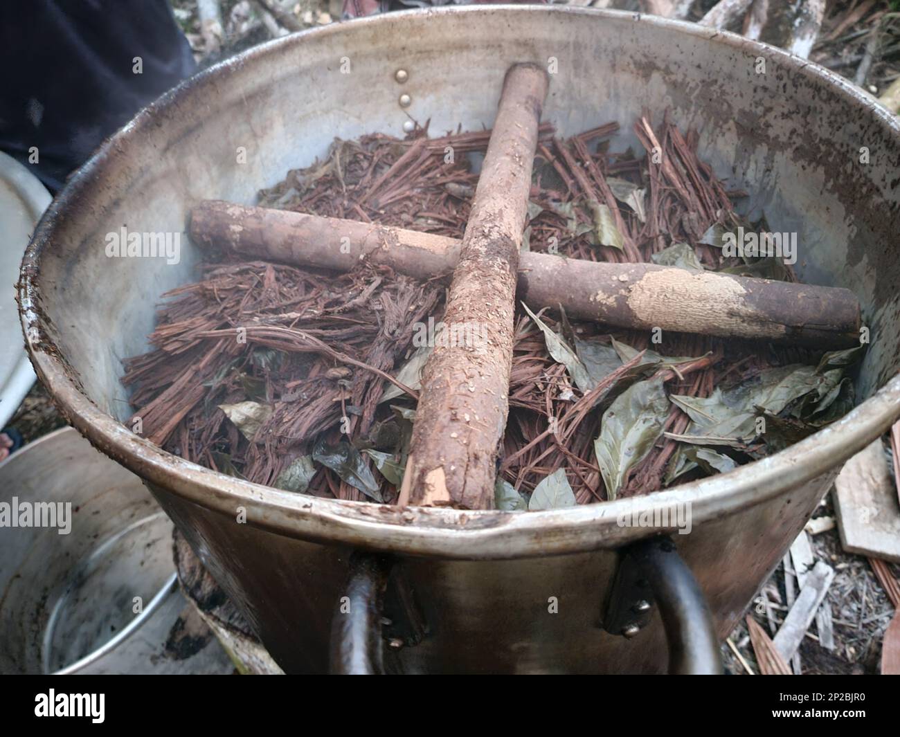 Ayahuasca ceremonies hi-res stock photography and images - Alamy